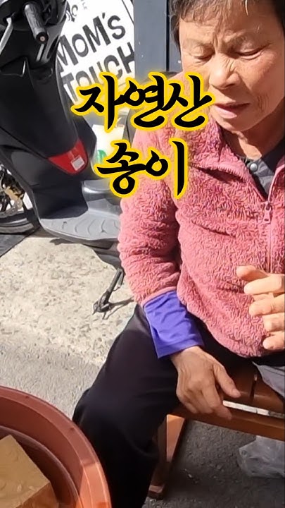 송이파는할머니 Shorts 전국오일장 전통시장 재래시장 Youtube