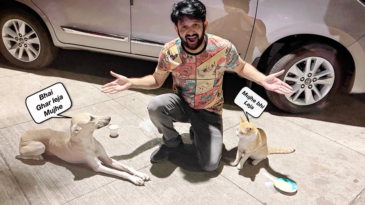 YEH KYA HO RAHA HAI YouTube YEH KYA HO RAHA HAI YouTube