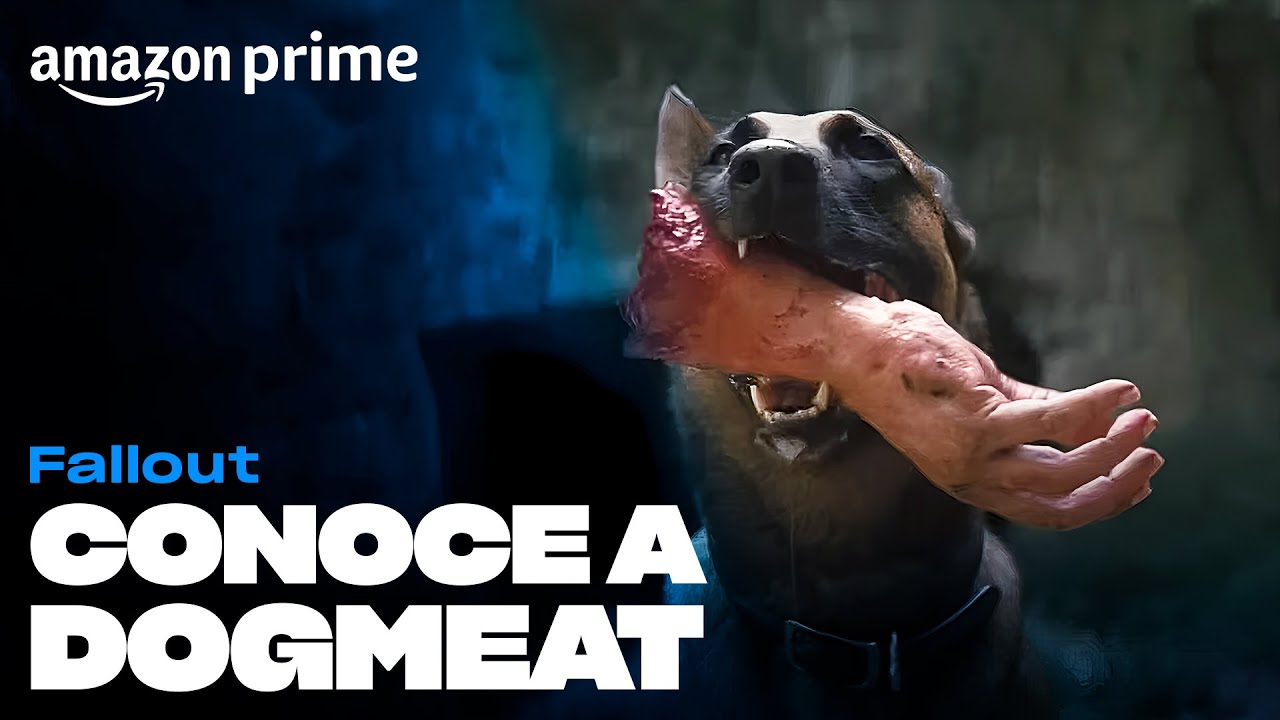 Fallout - Dogmeat | Amazon Prime - YouTube