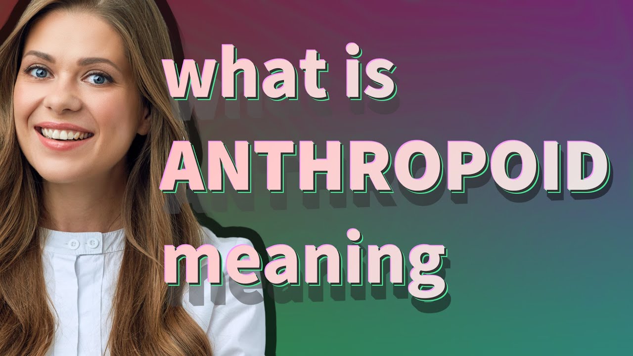 Anthropoid | meaning of Anthropoid - YouTube