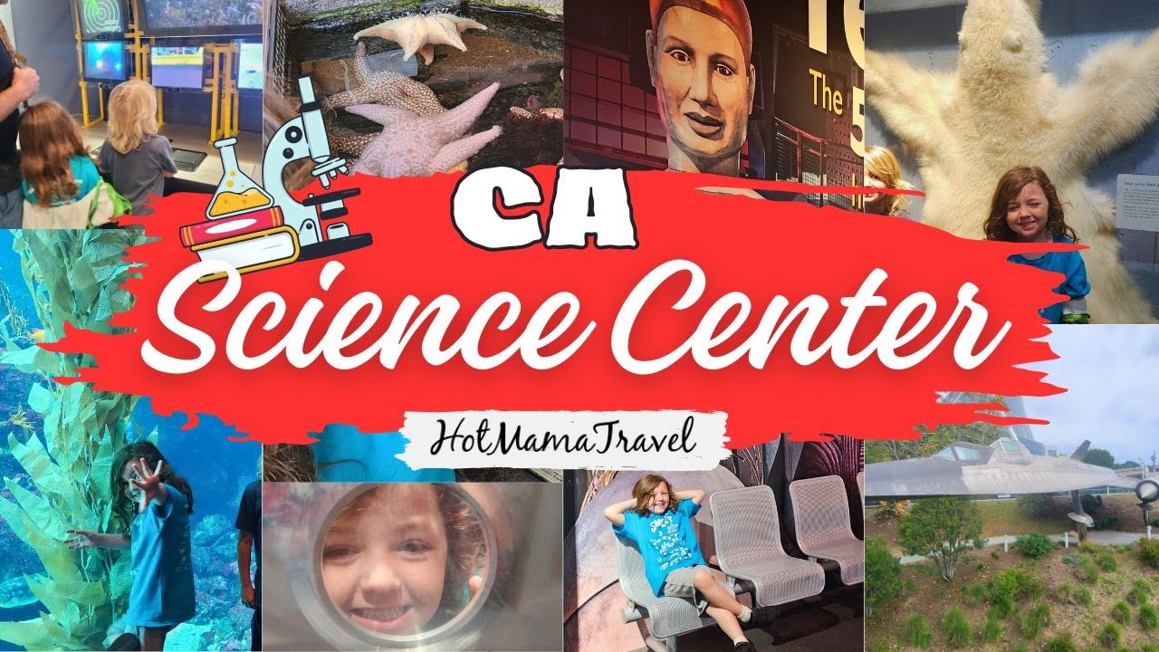 Exploring Amazing Ecosystems at California Science Center 2025 - YouTube
