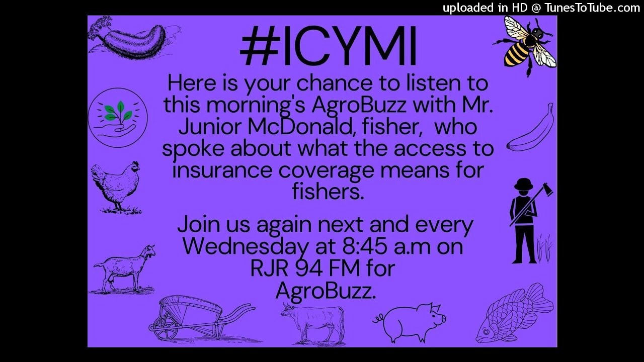 Agrobuzz - Jamaican fisherman speaks about the value of insurance for ...