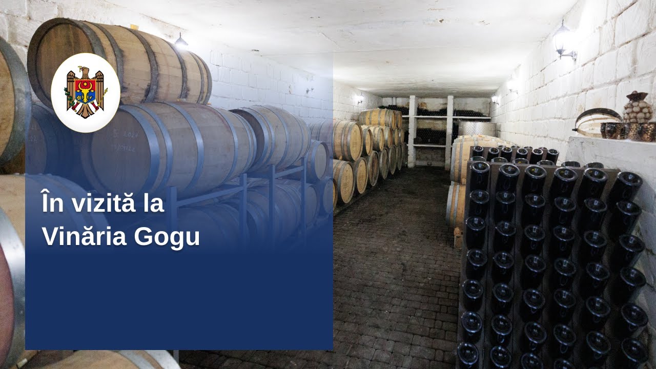 În vizită la Vinăria Gogu - YouTube