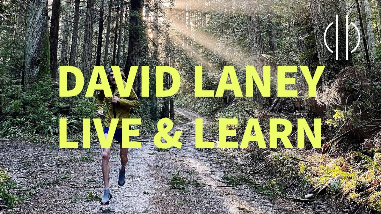 David Laney | Live & Learn - YouTube