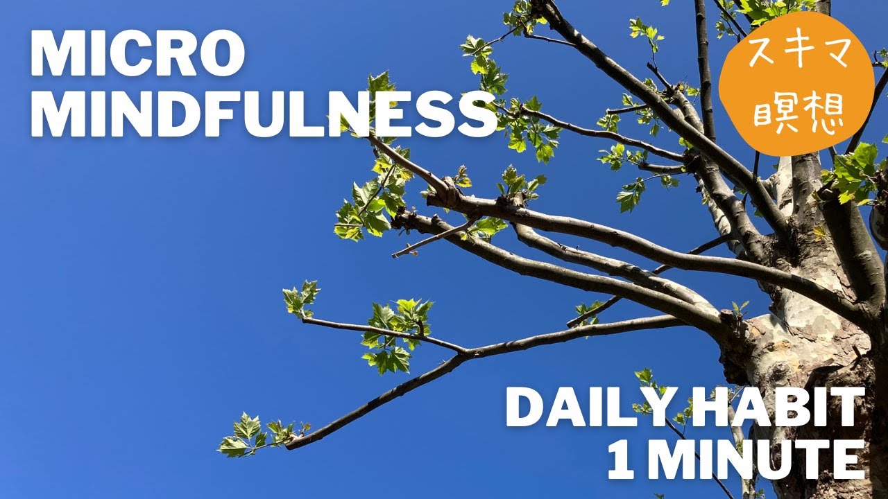 Micro Mediation |1 Minute |Breathing Practice |Mindfulness| anytime ...