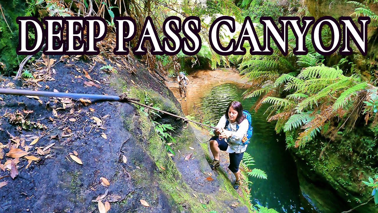 Deep Pass Canyon, Woollimi Nat Park-Blue Mts#hiking #adventuretime ...