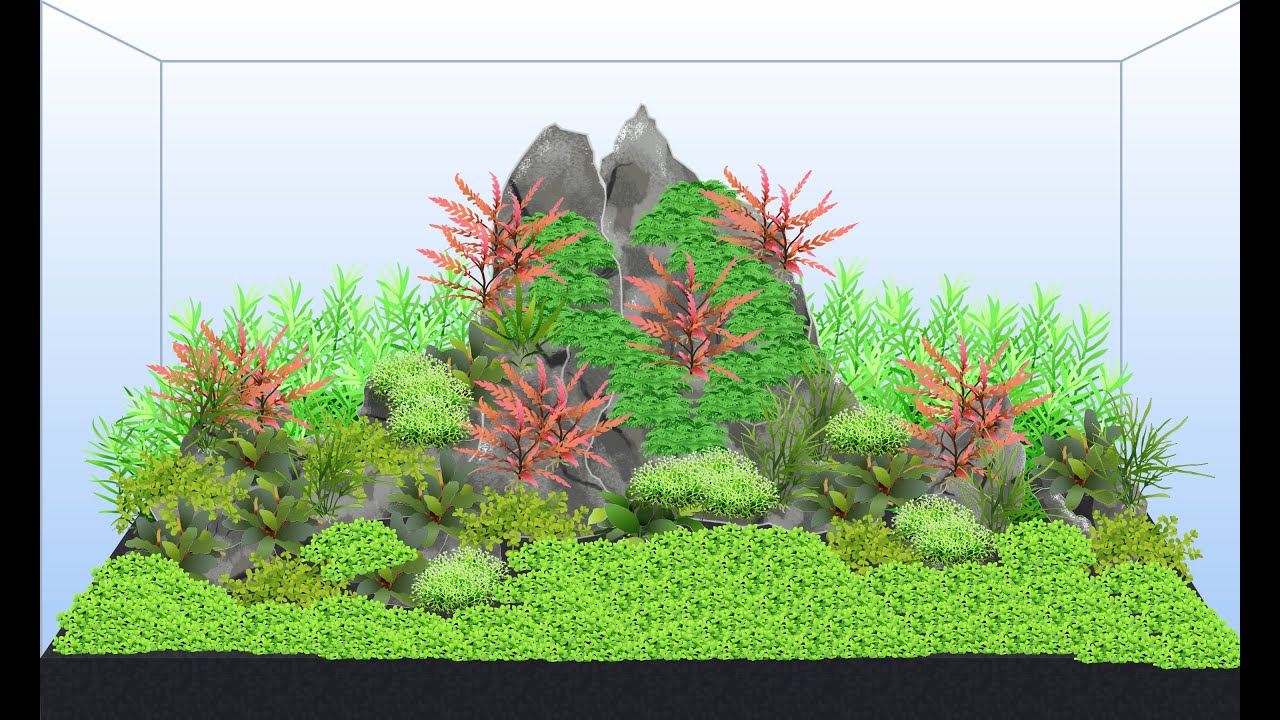 Scape It - Aquarium am Computer einrichten! - YouTube