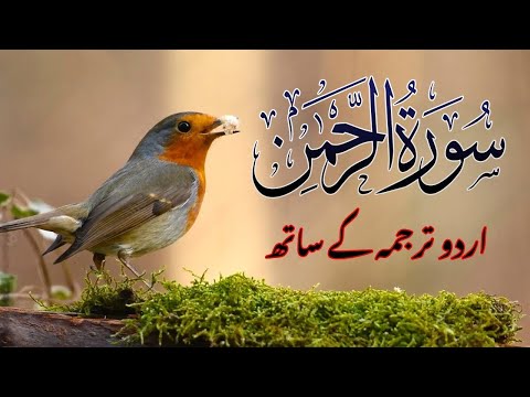 Surah Rahman with Urdu Translation | Beautiful Quran Tilawat by Qari Abdul Basit | سورۃ الرحمن | 127