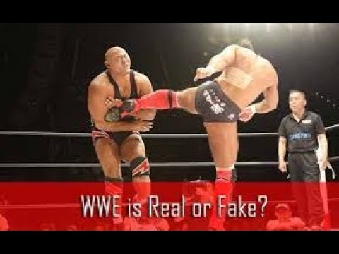 WWE IS REAL OR FAKE ? WWE lover must watch - YouTube