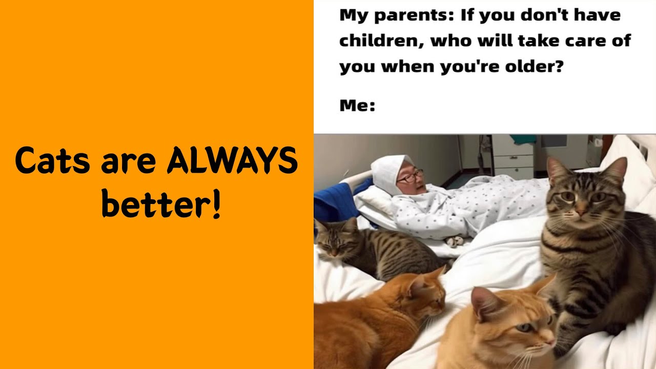 50 Cat Memes That May Make You Wish You Could Tag Your Kitty - Funny ...