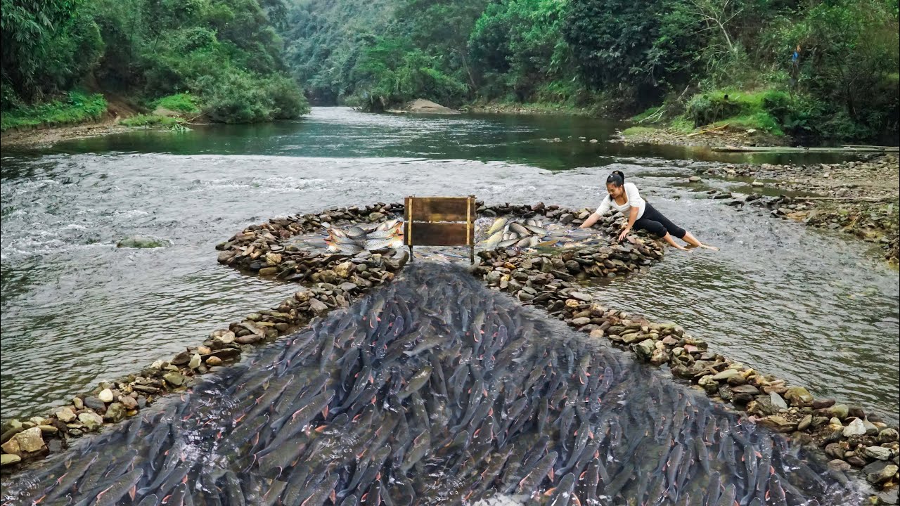 How to Make Simple Fish Trap. The SECRET to Catching Big Fish With Rock ...
