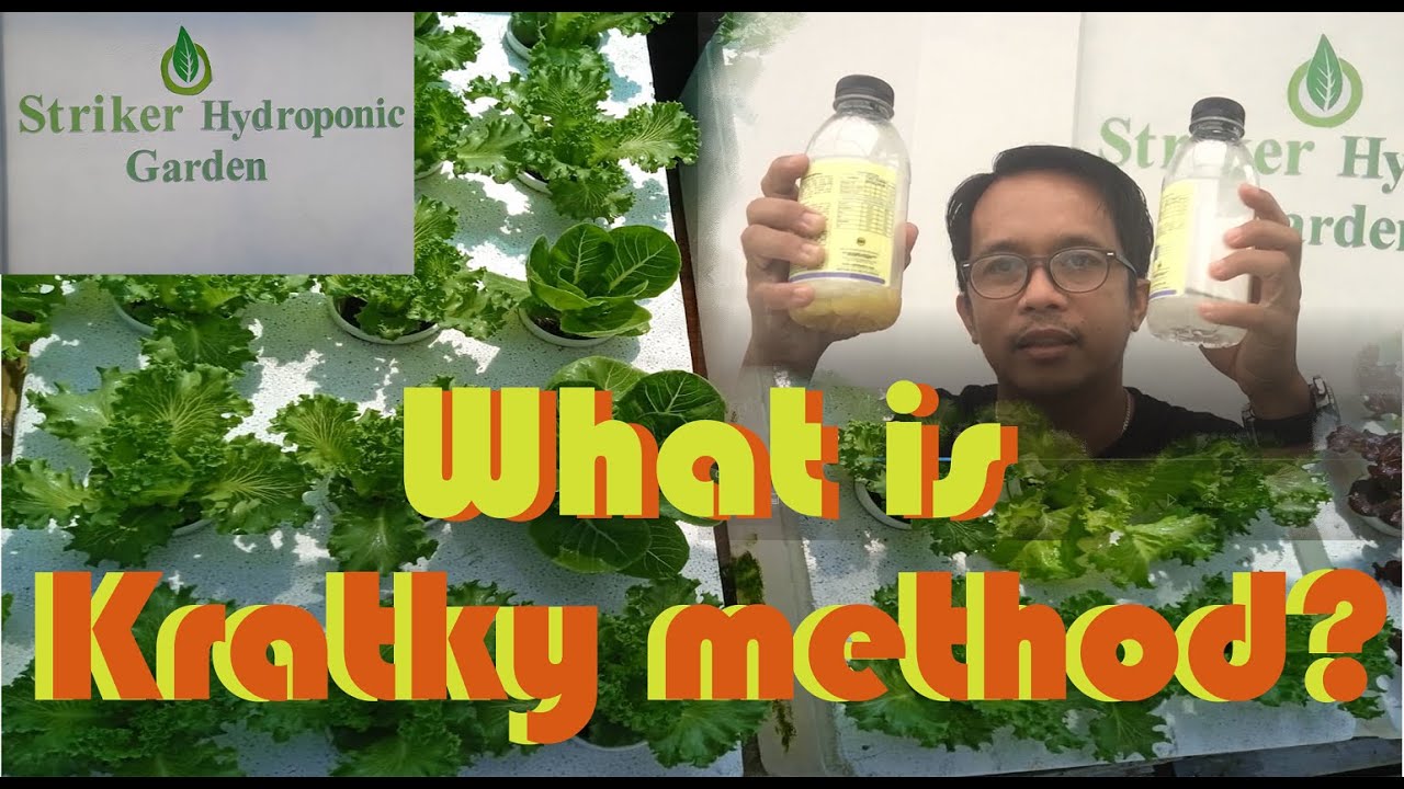 What is kratky method in hydroponics (V#96) - YouTube