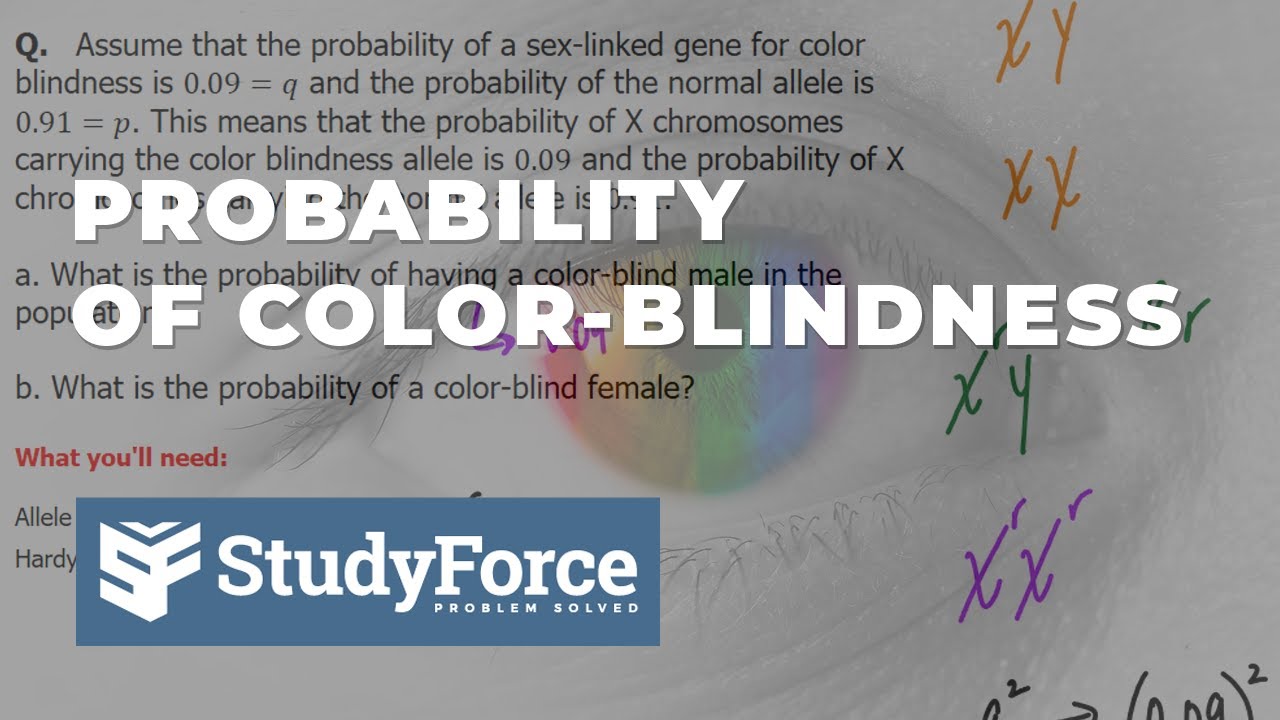 Probability of Color-Blindness | Genetics - YouTube