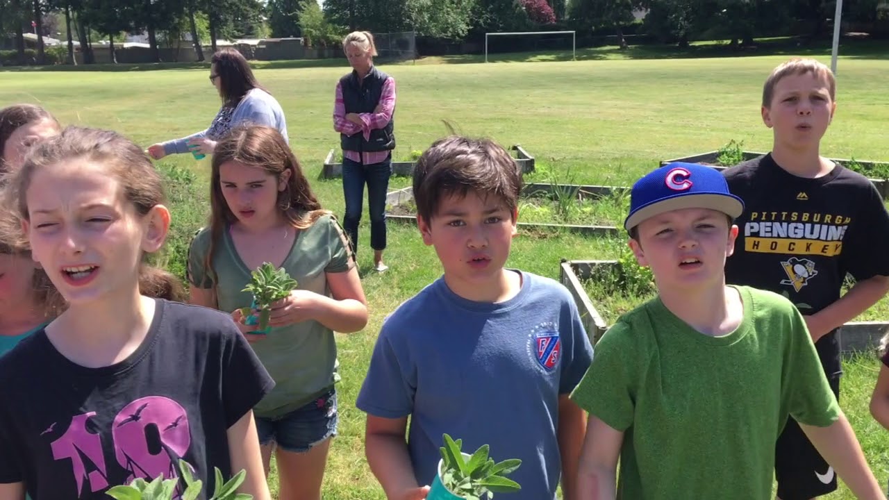 Spring on the School Farms - YouTube