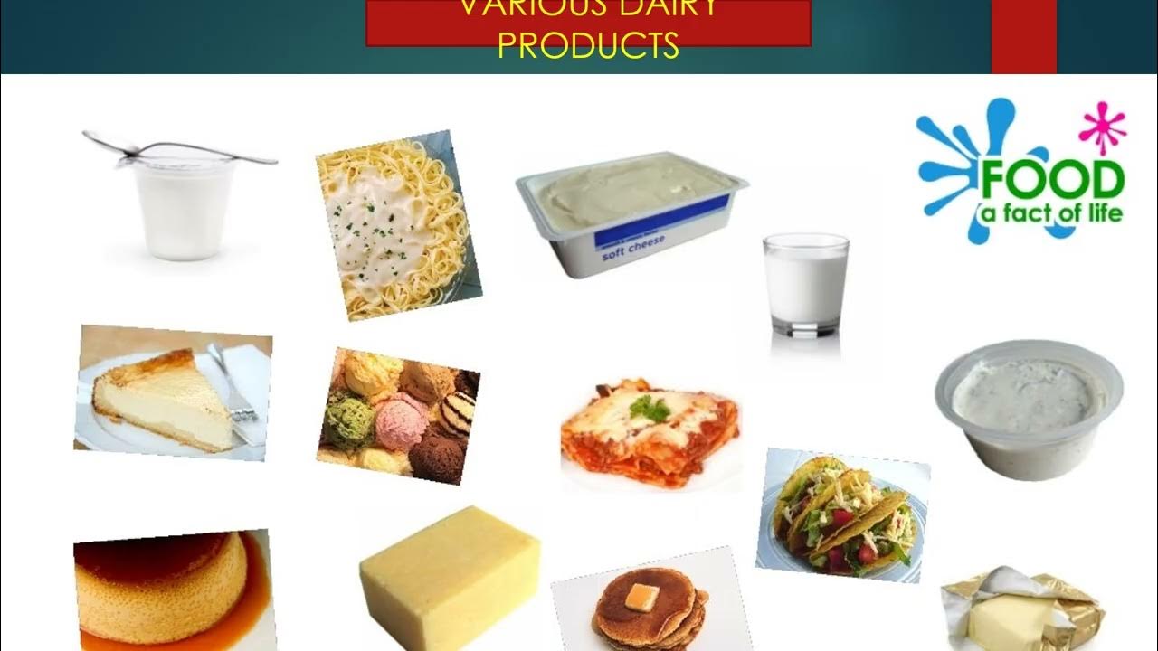 Dairy Farm Shop Management System Project using PHP & MySQL l Download ...