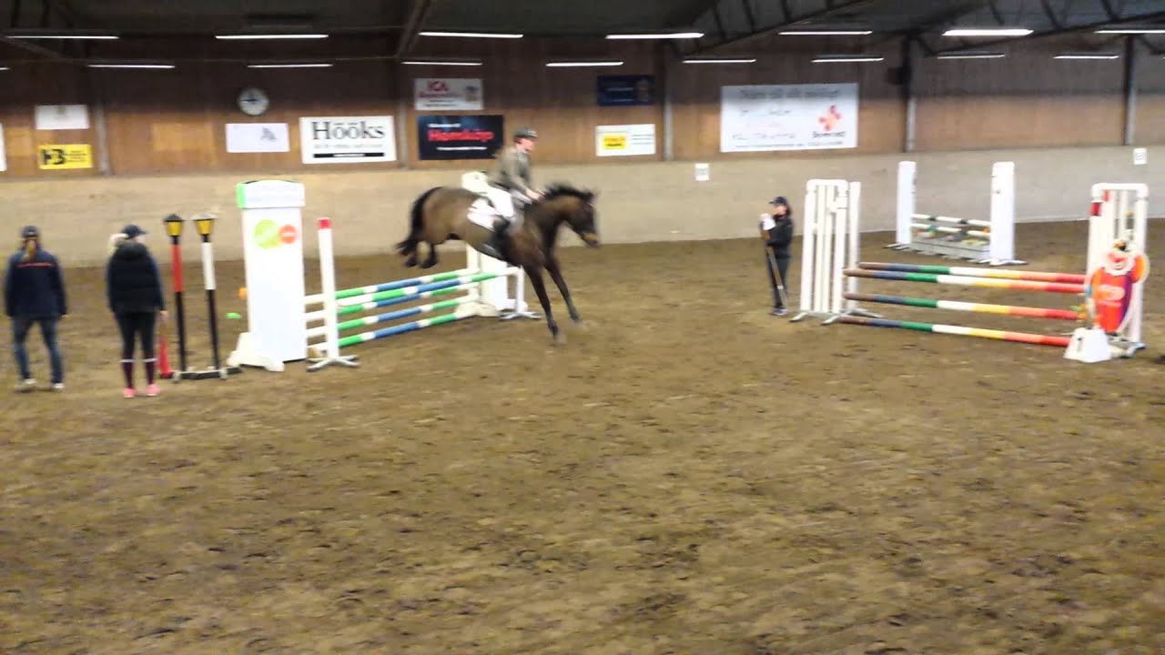 Lovely Lady SB tävlingdebut! - YouTube