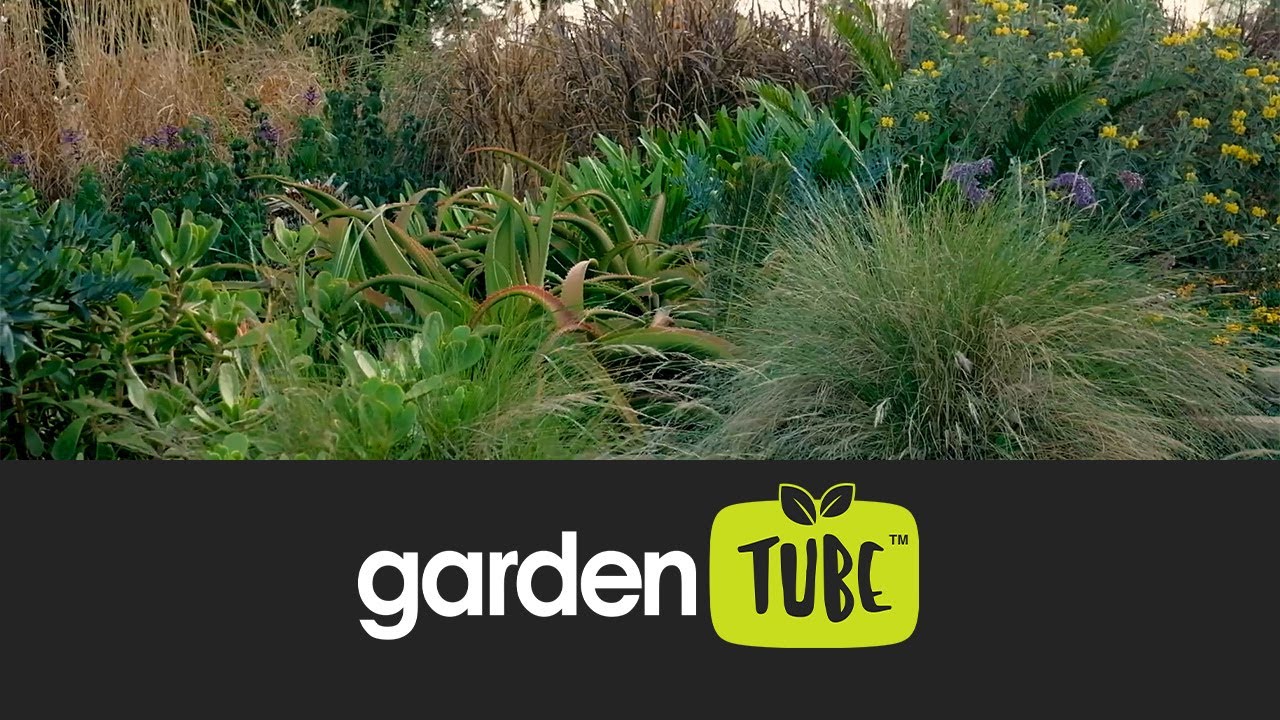 Grass garden inspo - YouTube