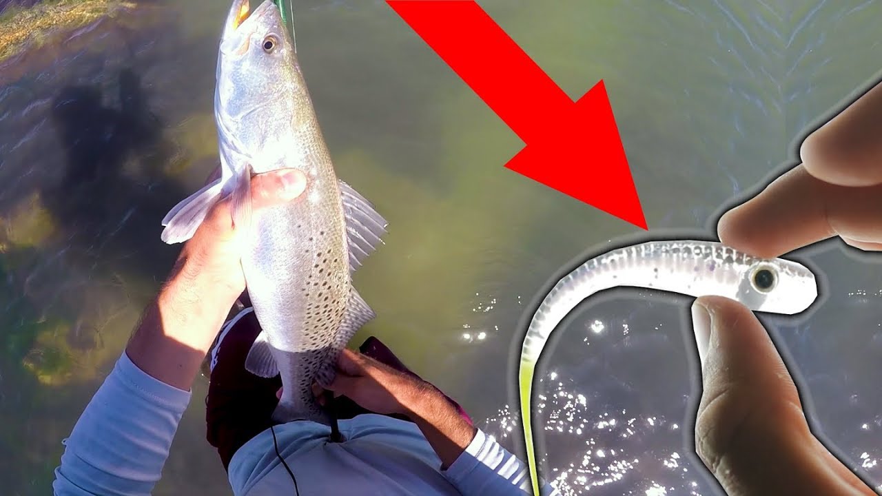 clear water fish only wanted this unique clear lure - YouTube