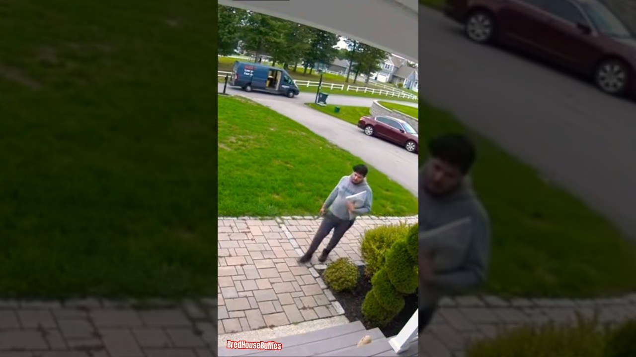 This Dog Chased The Delivery Driver Miles Passed His Truck 😭 “He’s ...