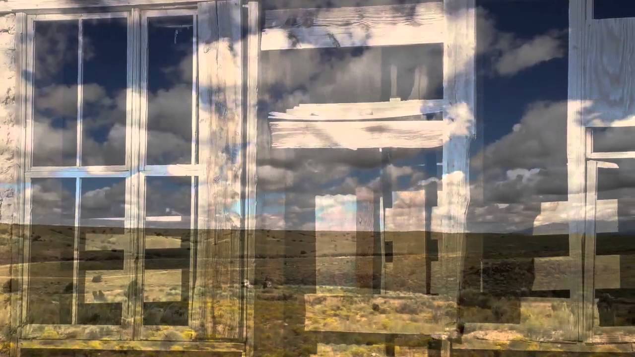 Wild Gypsy Sunflower - YouTube