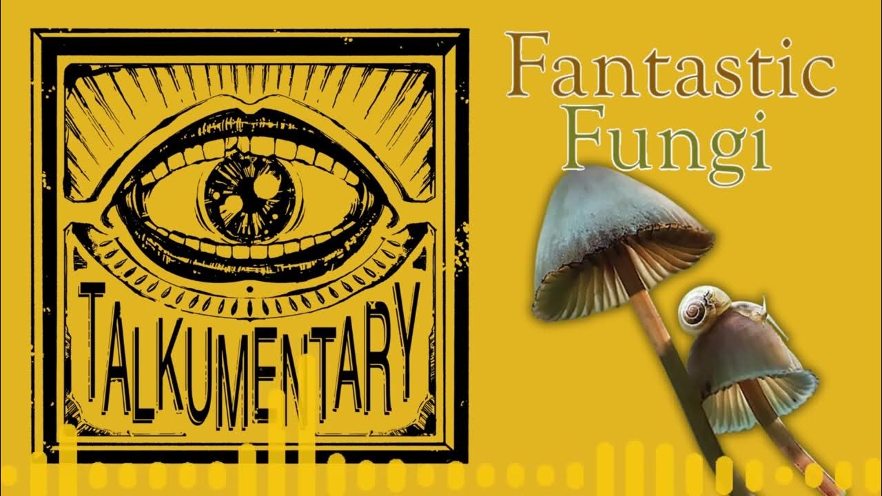 018 - Talkumentary - Fantastic Fungi (Documentary) - YouTube
