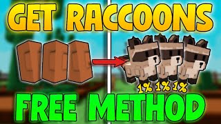 Fastest Way To Get Raccoon In Grow A Garden Raccoon Spawns Farm Method ...