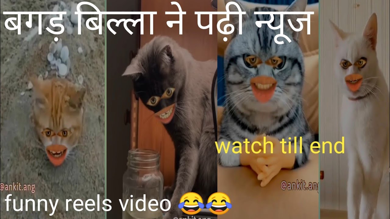 Funny bangad Billa video 😂||funny memes video|| Ankit ang Billa dubbing ...