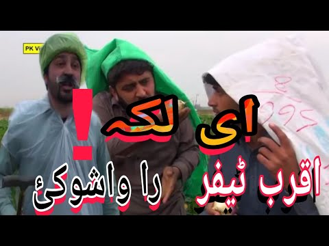 Aqrab tepar rawashokay new funny video by || pk tv ||