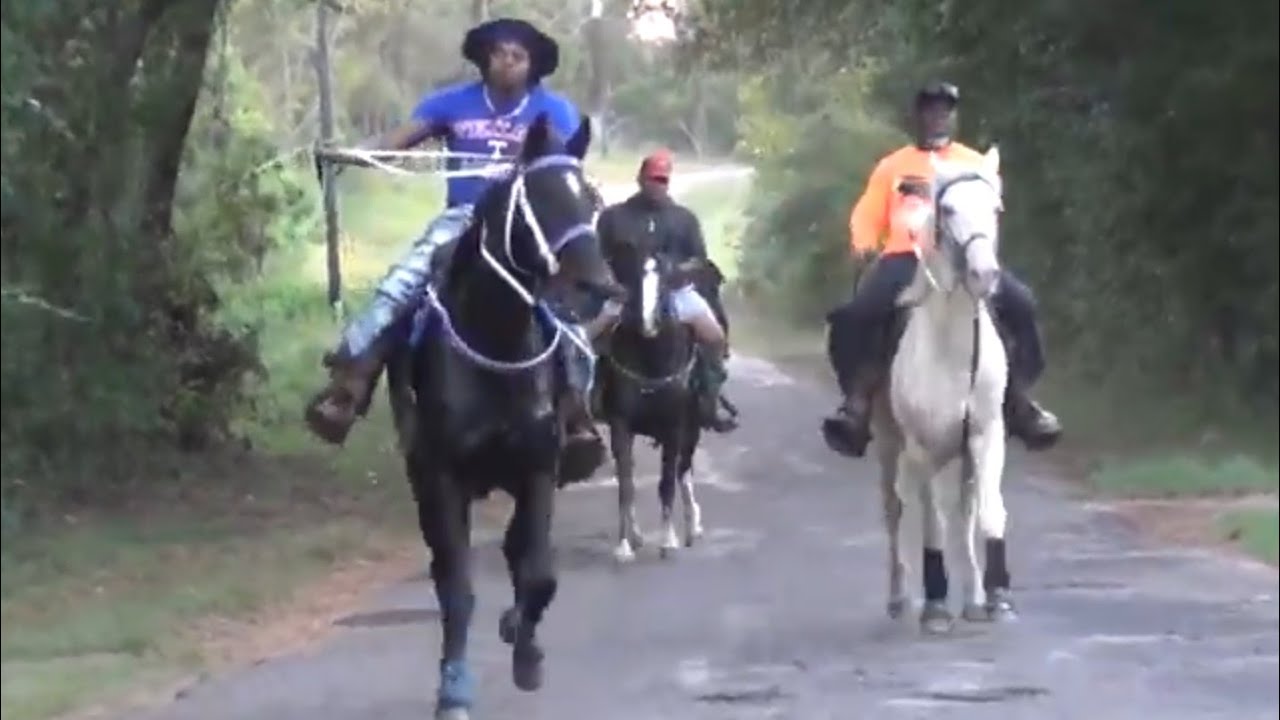 Fast Trail Horses of Douglassville Show Stoppers Trail Riders - YouTube