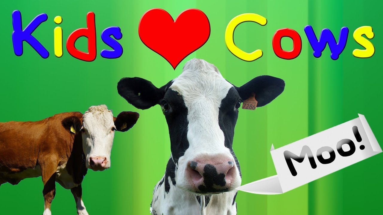 Kids Love Cows | Cow Video for Children | Best Animal Videos for Kids ...