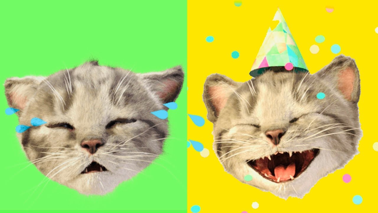 ANIMATED LITTLE KITTY ADVENTURES 😸 | CUTE LITTLE KITTEN Cat Play Fun ...