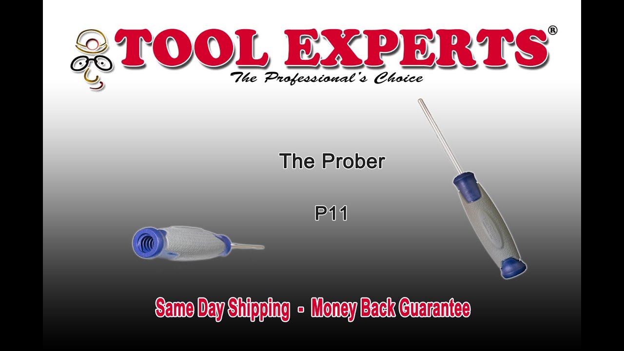 The Prober - Inspection, Detection, Probe for Wood Decay and Termites ...