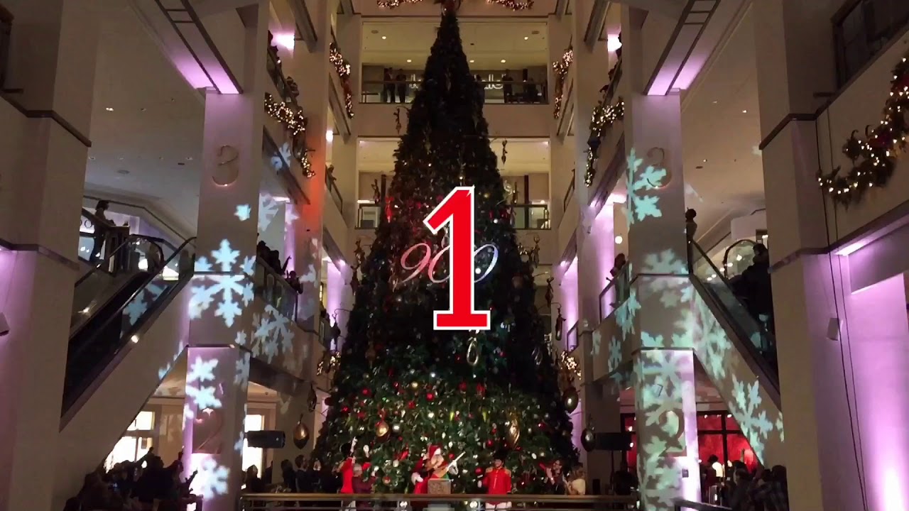 Christmas tree lighting countdown in Chicago - YouTube