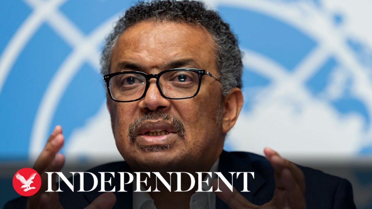 Health ministers from around the world are meeting virtually at the WHO ...