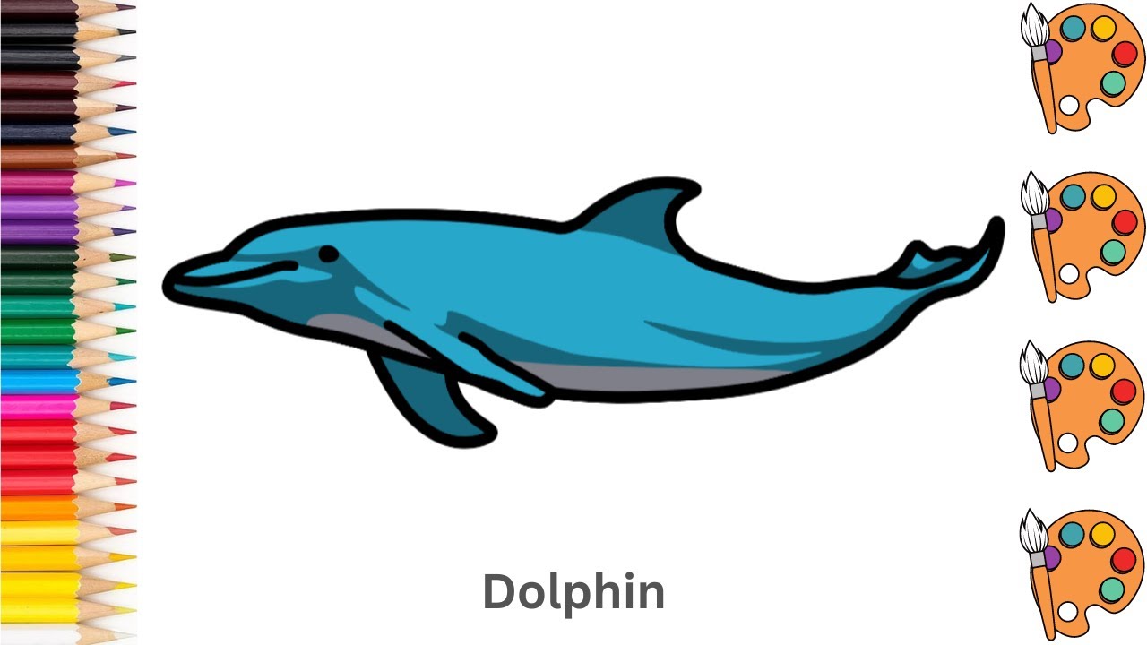 🐬How to draw a Dolphin | Step by step tutorial to draw, sketch and ...