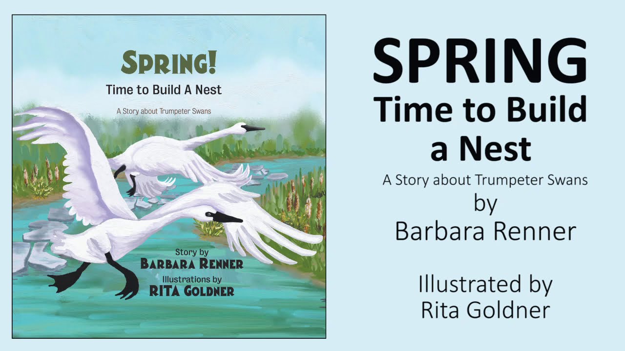 SPRING TIME TO BUILD A NEST Book Preview - YouTube