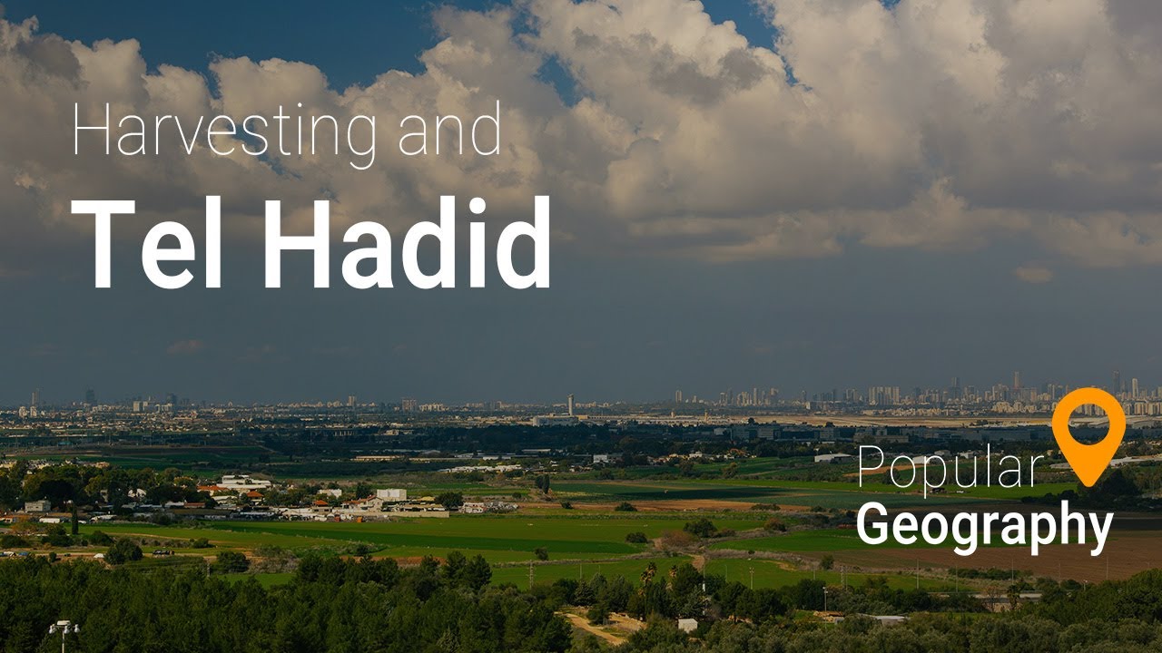 Harvesting and Tel Hadid | Israel - YouTube