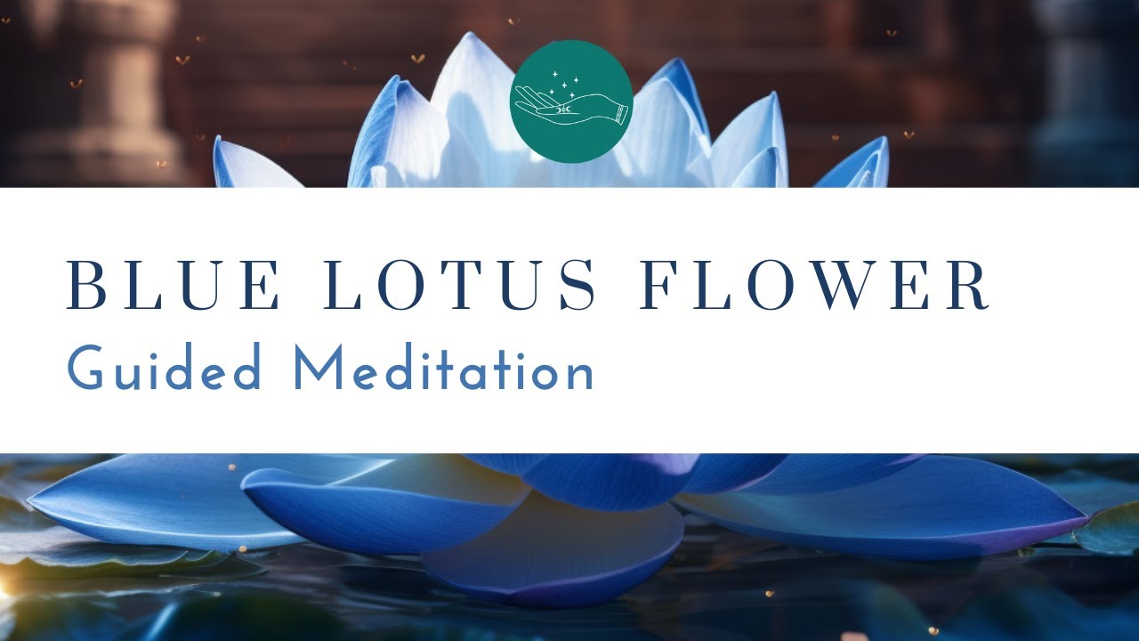 Blue Lotus Flower Meditation Expand Your Consciousness - Connect to ...