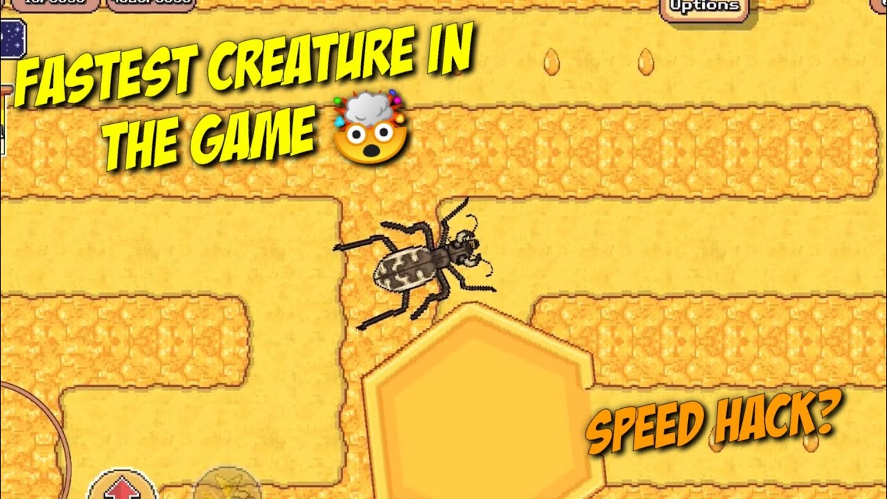 TIGER BEETLE HAS SPEED HACK 😱 | POCKET ANTS - YouTube