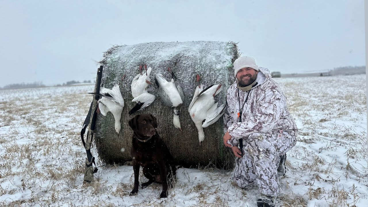 Snow Goose Hunting During Blizzard!! - YouTube