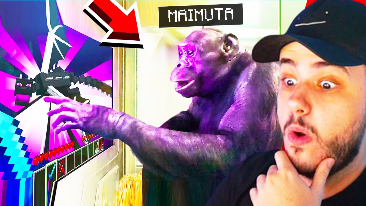 O Maimuta A Batut Minecraft-ul... - YouTube