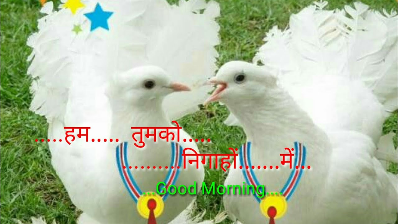 GOOD MORNING video - YouTube