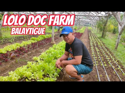 LOLO DOC FARM AT BALAYTIGUE || WOW Fha-Nurt TV - YouTube