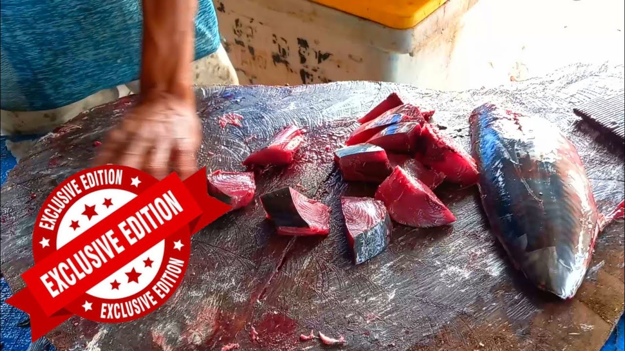 FISH CUTTING SKILLS‼️CUT FISH FRESH skipjack tuna - YouTube