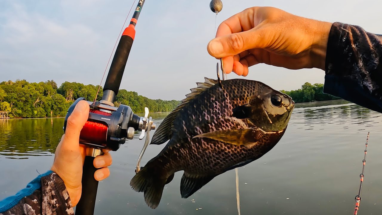 The Morning BITE Was On FIRE!!! - YouTube