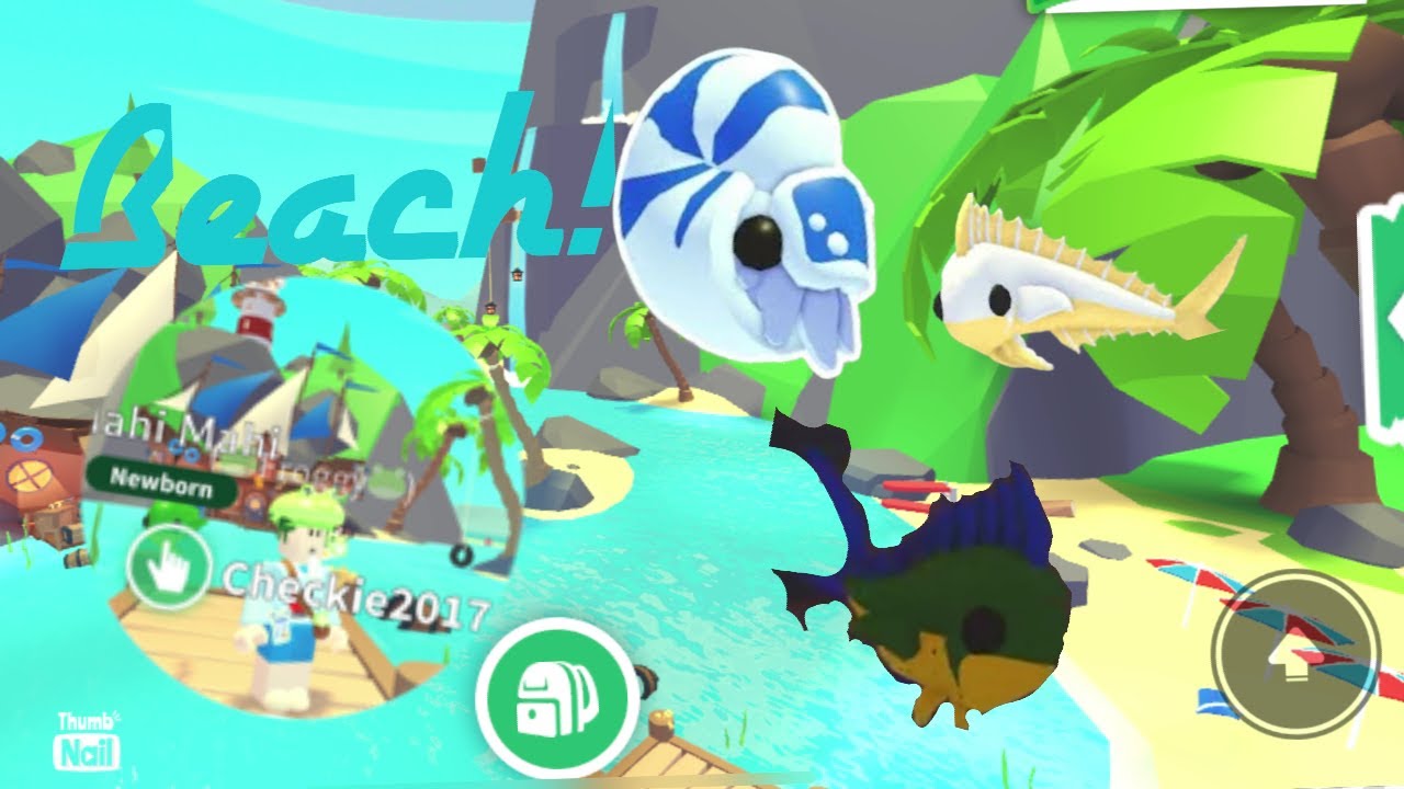 Adopt me Beach update 2024!!🏖️🤩 - YouTube