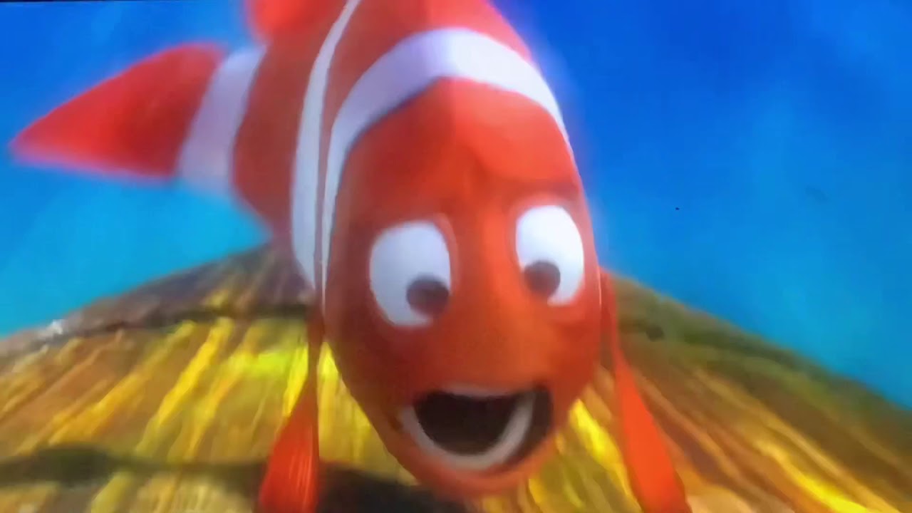 Finding Nemo righteous - YouTube