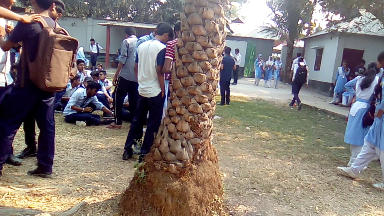 Gazipur Pubail - YouTube