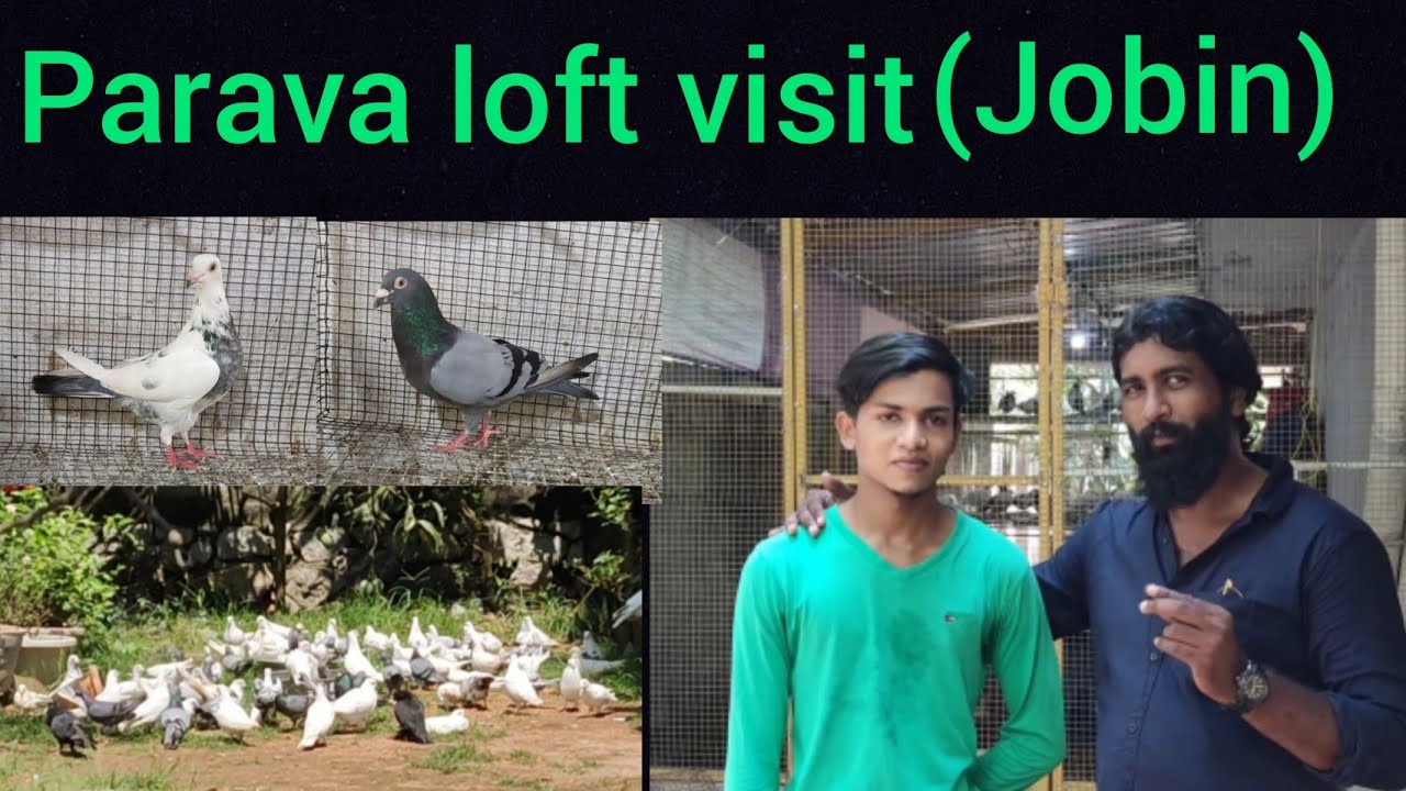 parava loft visit (Jobin panachamoodu ) - YouTube