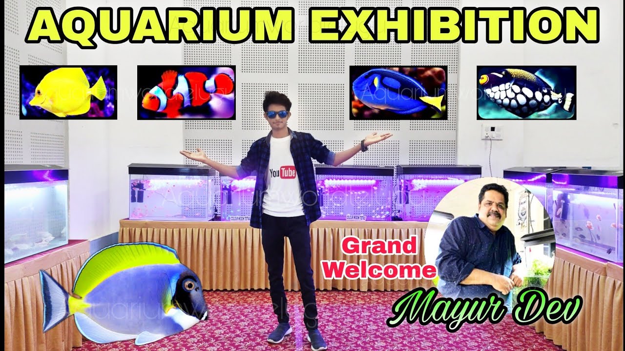 World's Popular Fish Mega Aquarium Expo in India Ft. MAYUR DEV #fishtank #exhibition - YouTube